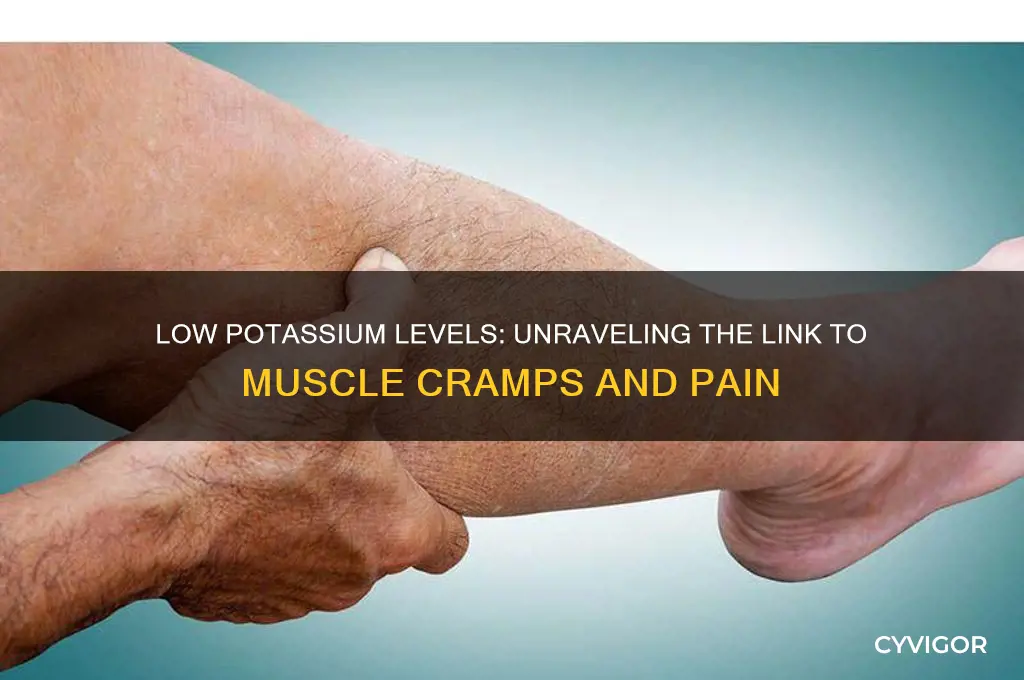 Low Potassium Levels: Unraveling The Link To Muscle Cramps And Pain ...