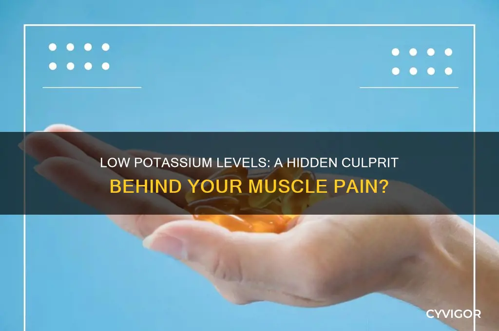Low Potassium Levels: A Hidden Culprit Behind Your Muscle Pain? | CyVigor