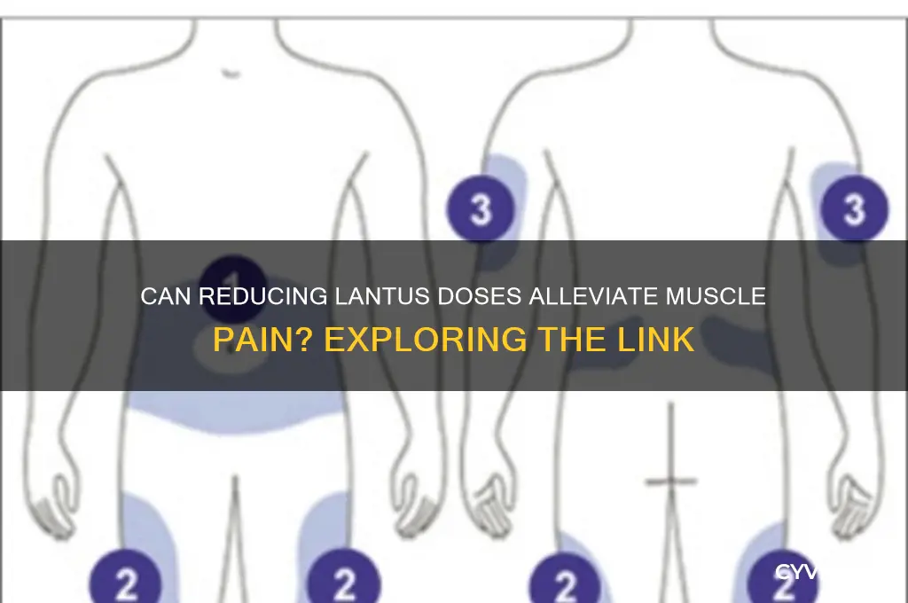 Can Reducing Lantus Doses Alleviate Muscle Pain? Exploring The Link ...