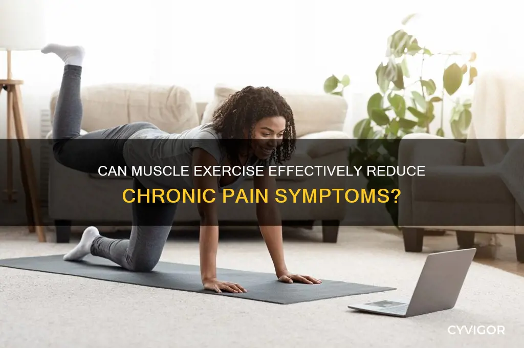 Can Muscle Exercise Effectively Reduce Chronic Pain Symptoms? | CyVigor