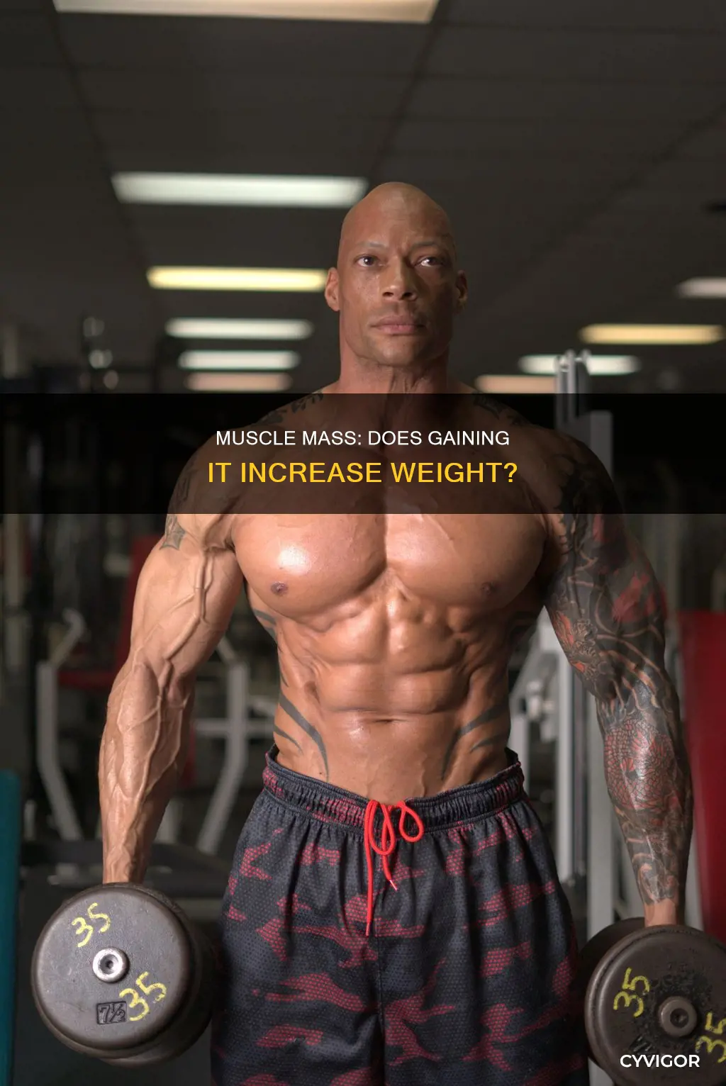 Muscle Mass: Does Gaining It Increase Weight? | CyVigor