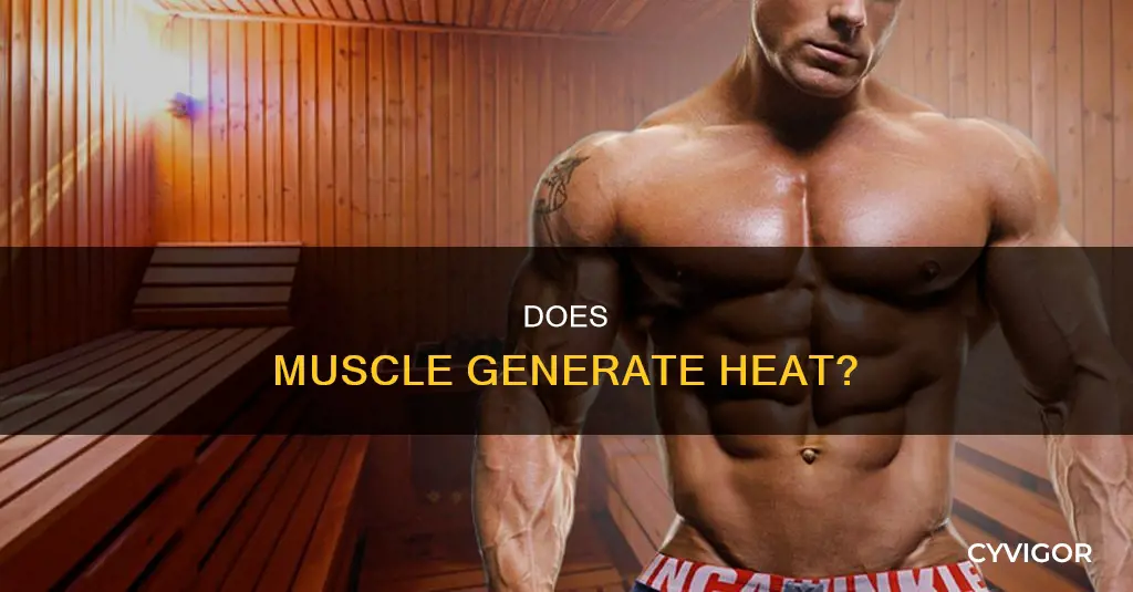 Does Muscle Generate Heat? | CyVigor