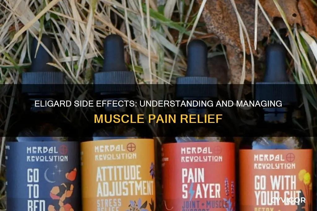 Eligard Side Effects: Understanding And Managing Muscle Pain Relief ...