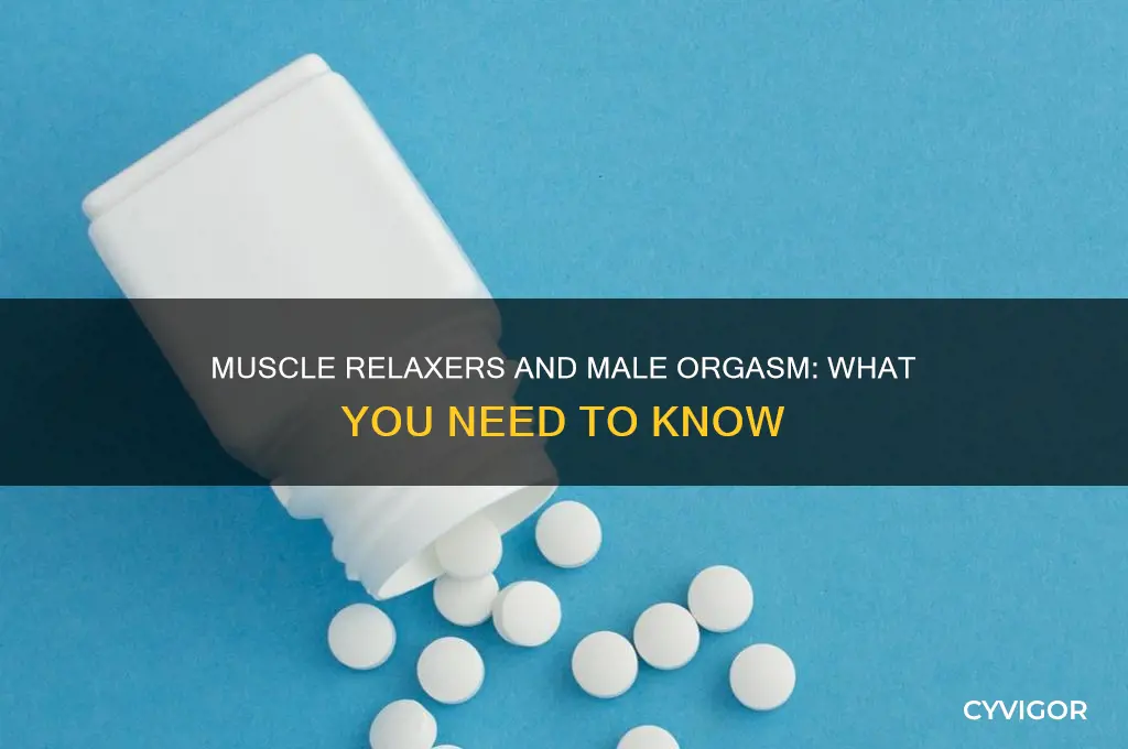 Muscle Relaxers And Male Orgasm: What You Need To Know | CyVigor