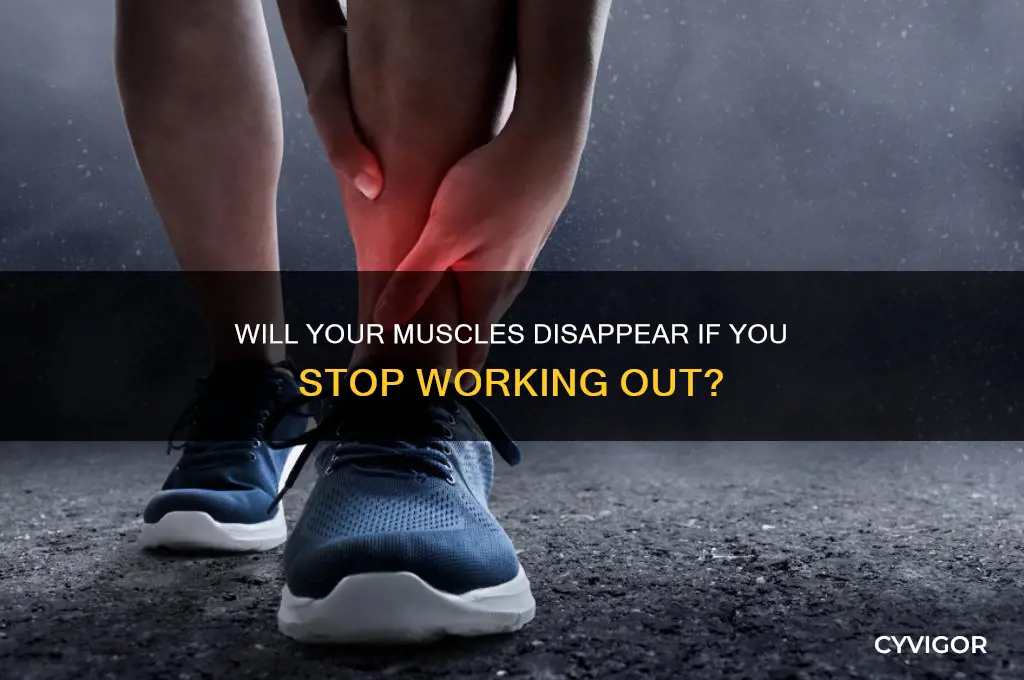 Will Your Muscles Disappear If You Stop Working Out? | CyVigor
