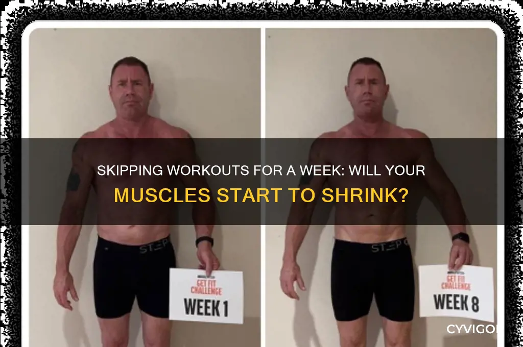 Skipping Workouts For A Week: Will Your Muscles Start To Shrink? | CyVigor