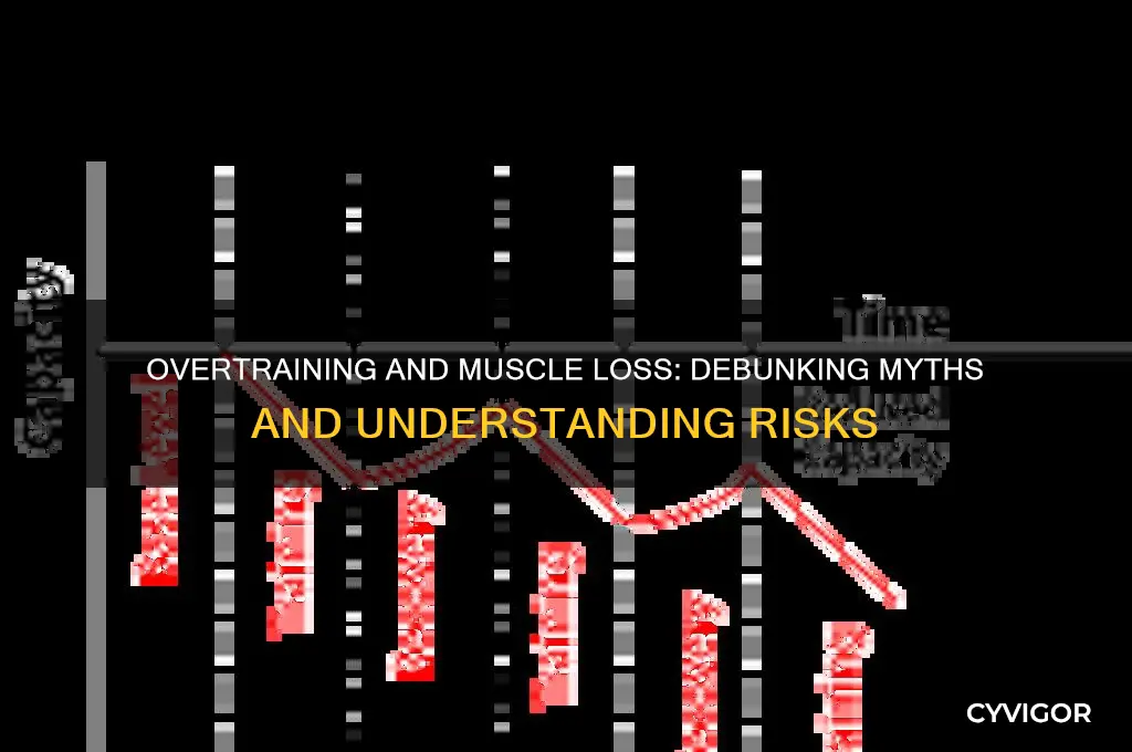 Overtraining And Muscle Loss: Debunking Myths And Understanding Risks ...