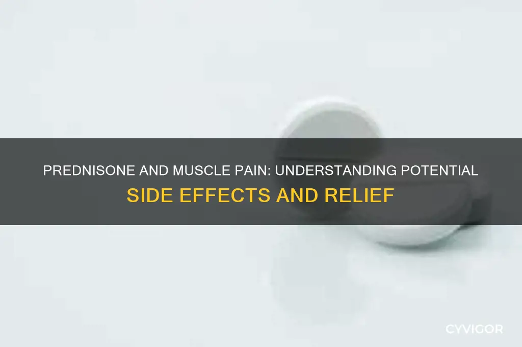 Prednisone And Muscle Pain: Understanding Potential Side Effects And ...