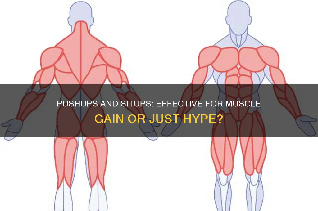 Pushups And Situps: Effective For Muscle Gain Or Just Hype? | CyVigor