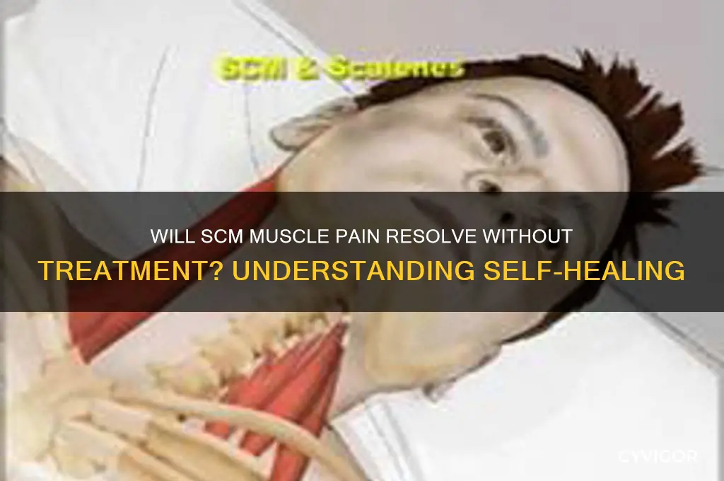 Will Scm Muscle Pain Resolve Without Treatment? Understanding Self ...