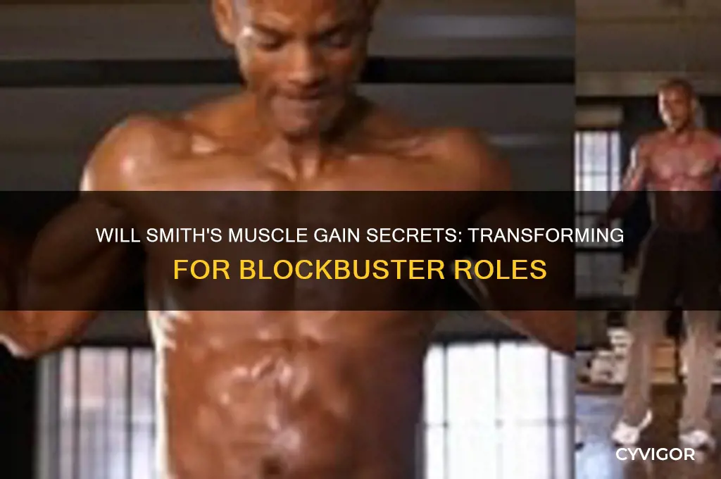 Will Smith's Muscle Gain Secrets: Transforming For Blockbuster Roles ...