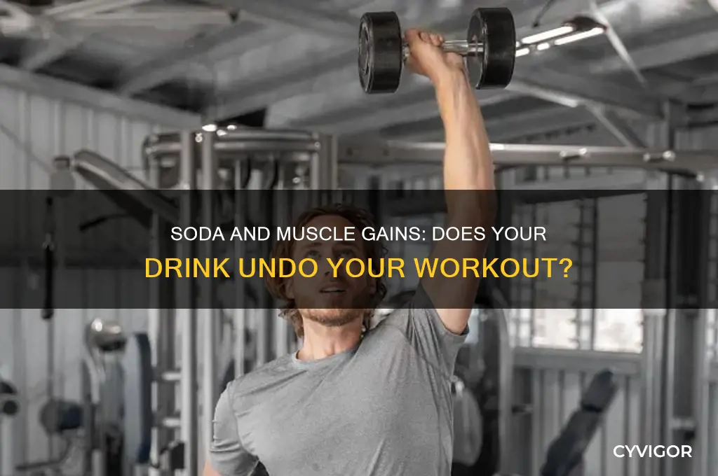Soda And Muscle Gains: Does Your Drink Undo Your Workout? | CyVigor
