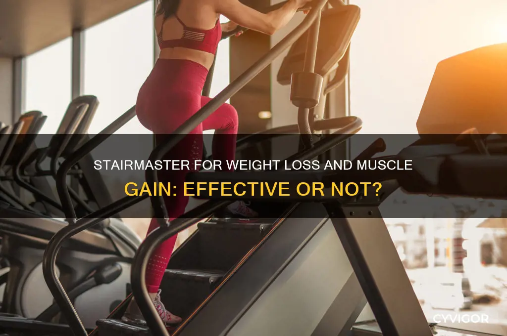 Stairmaster For Weight Loss And Muscle Gain: Effective Or Not? | CyVigor