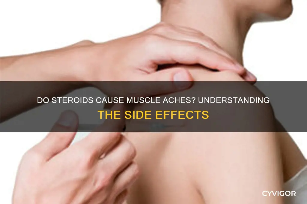 Do Steroids Cause Muscle Aches? Understanding The Side Effects | CyVigor