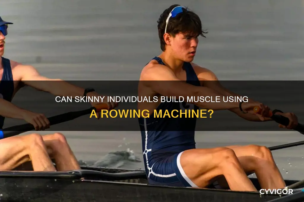 Can Skinny Individuals Build Muscle Using A Rowing Machine? | CyVigor