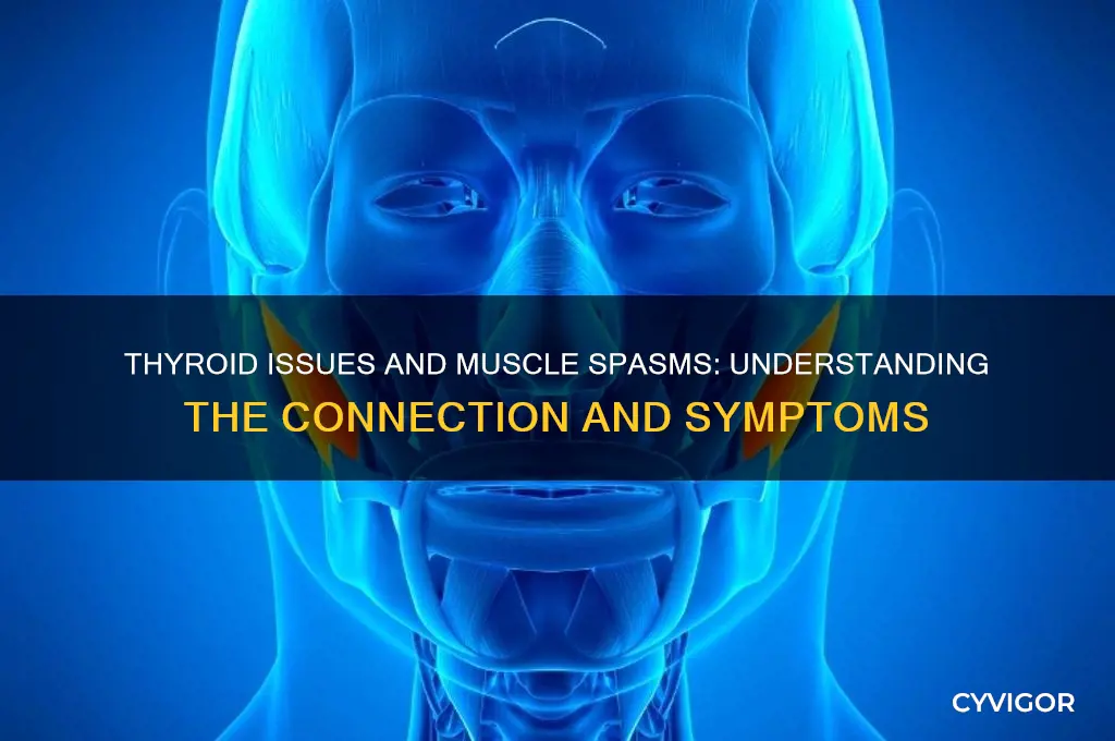 Thyroid Issues And Muscle Spasms: Understanding The Connection And ...