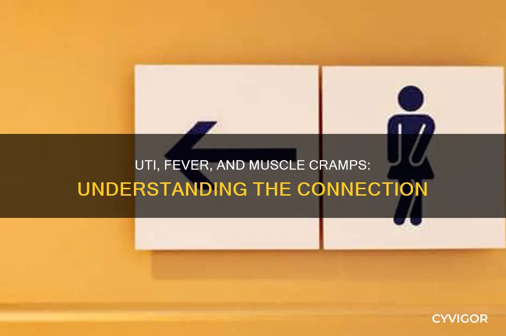 Uti, Fever, And Muscle Cramps: Understanding The Connection | CyVigor