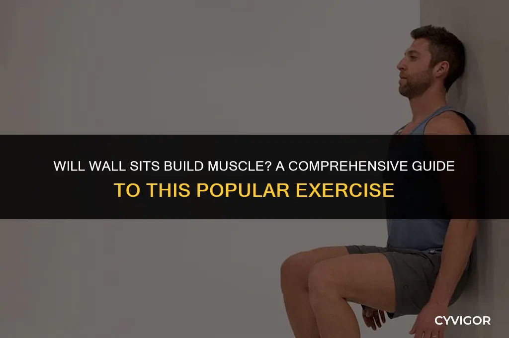 Will Wall Sits Build Muscle? A Comprehensive Guide To This Popular ...