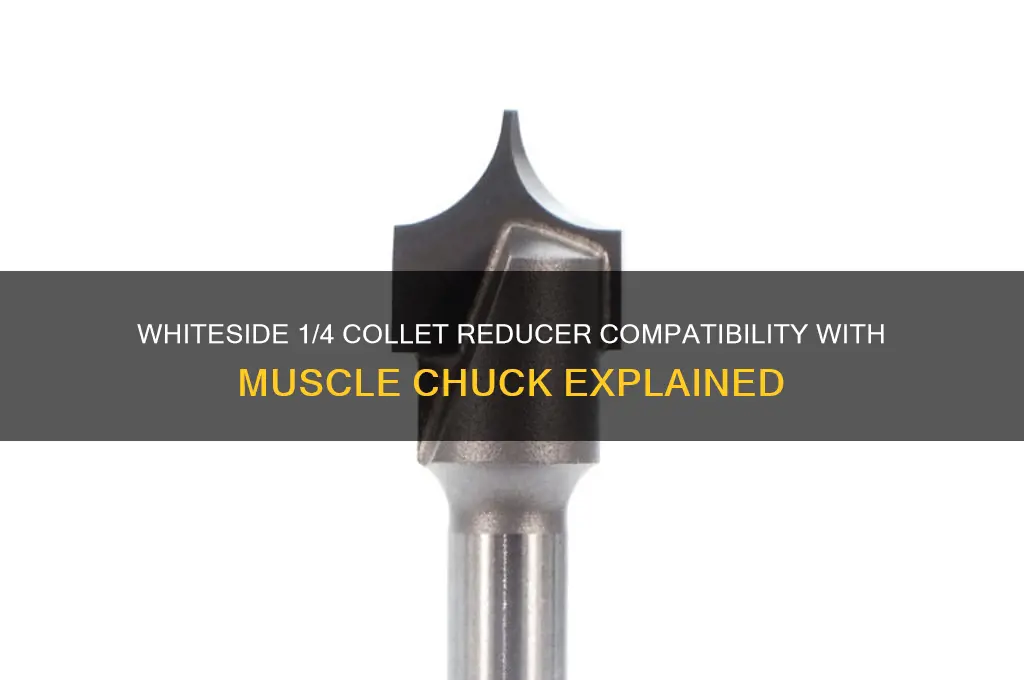 Whiteside 1/4 Collet Reducer Compatibility With Muscle Chuck Explained ...