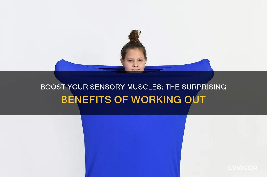 Boost Your Sensory Muscles: The Surprising Benefits Of Working Out ...
