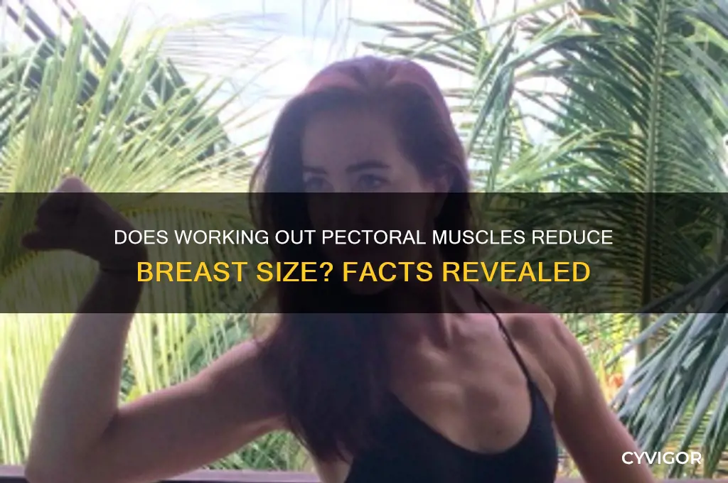 Does Working Out Pectoral Muscles Reduce Breast Size? Facts Revealed ...