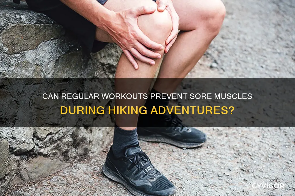 Can Regular Workouts Prevent Sore Muscles During Hiking Adventures ...