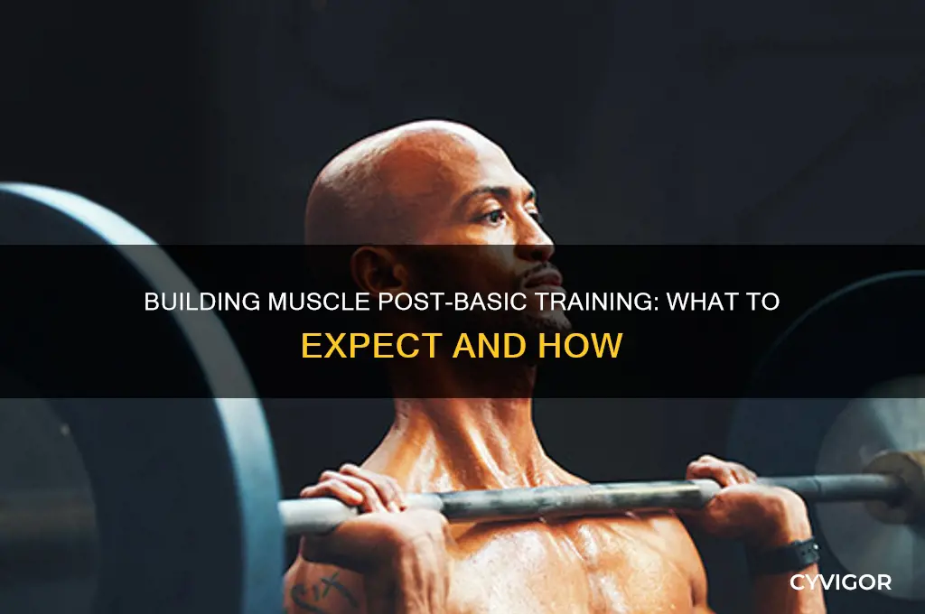 Building Muscle Post-Basic Training: What To Expect And How | CyVigor