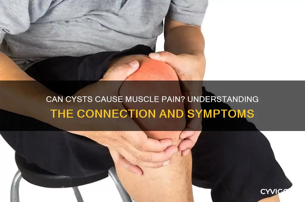 Can Cysts Cause Muscle Pain? Understanding The Connection And Symptoms ...